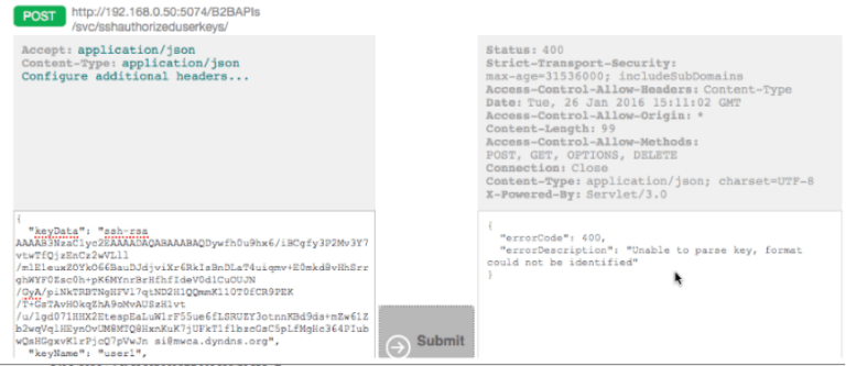 Introduction to the new Sterling B2B Integrator REST API