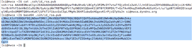 Introduction to the new Sterling B2B Integrator REST API